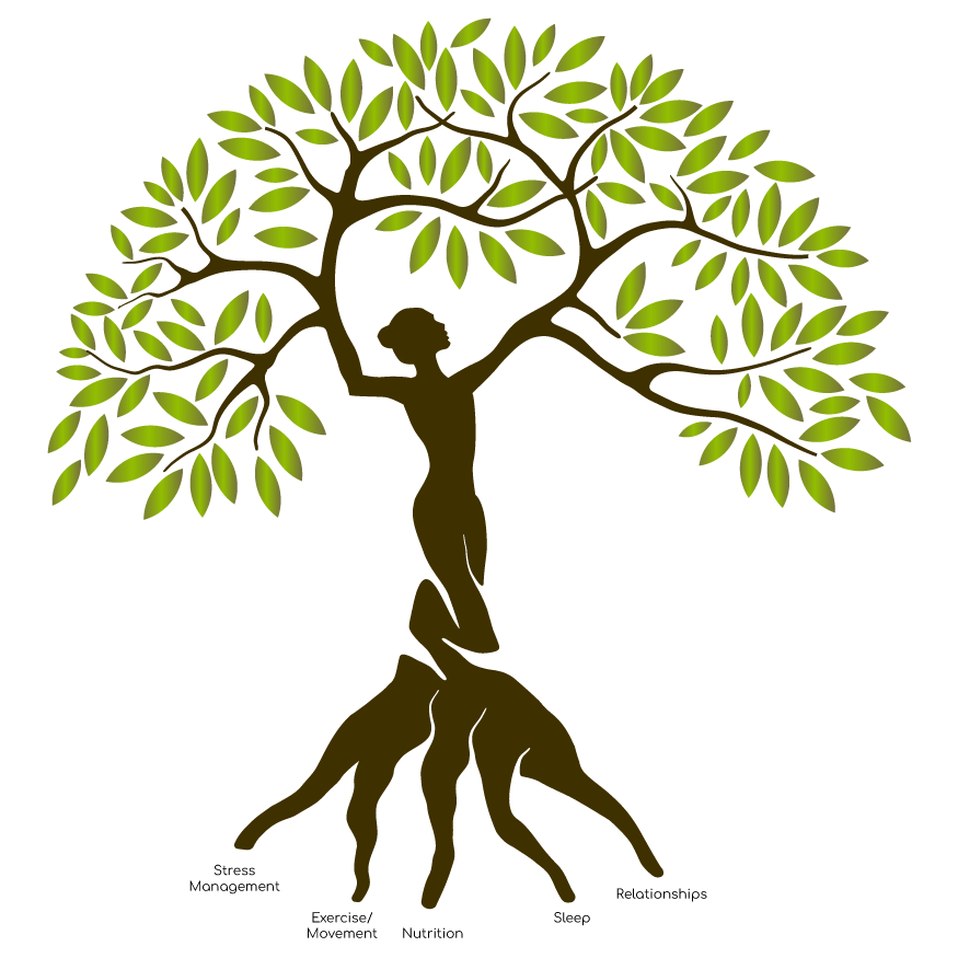 Home - Functional Fertility