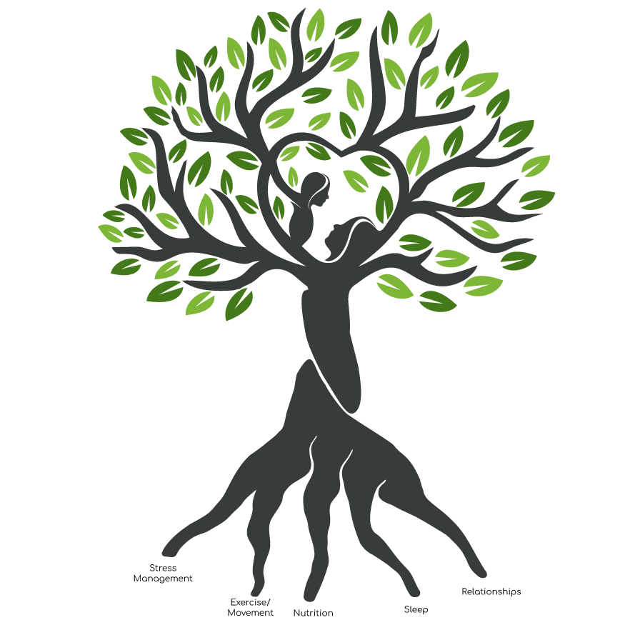 Home - Functional Fertility